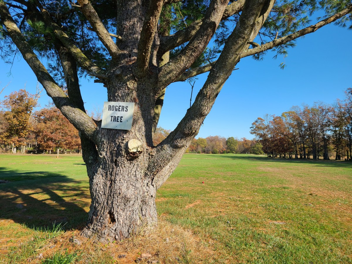 Number 102 (Centerton Golf Club) – Orson Rosas Golf